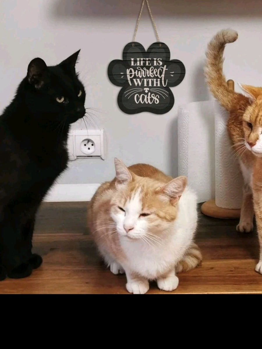 Indoor Sign - Life is purrfect with cats – Animal Addiction