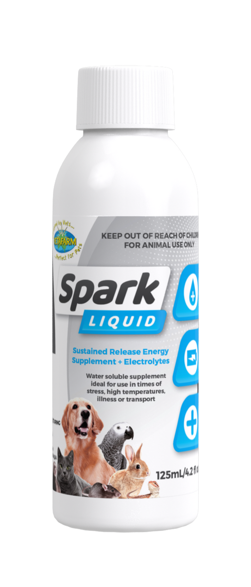 Spark Liquid Supplement for All Animals 125ml – Animal Addiction